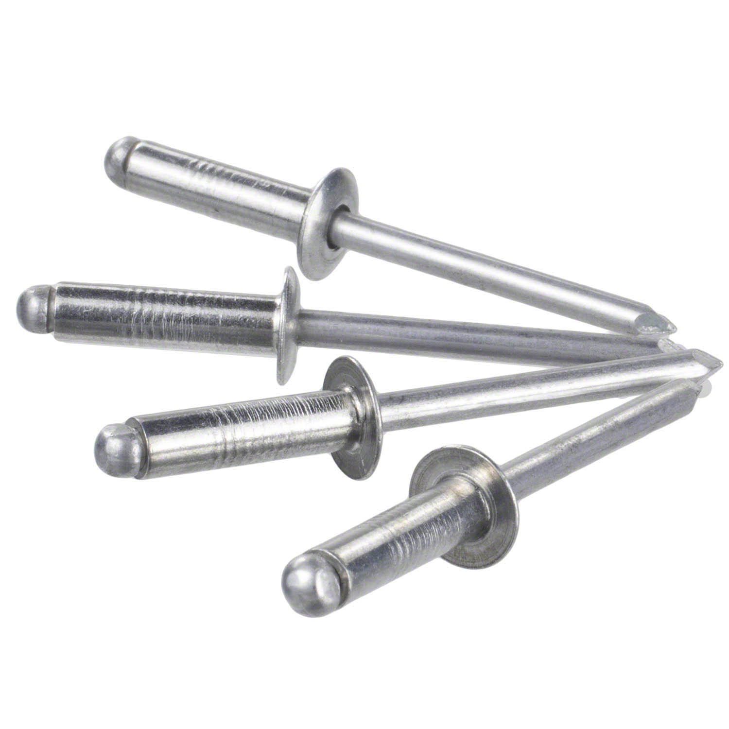 Rivet - 4.8 X 21.3, Rear (GT) | Parts | Ford.com