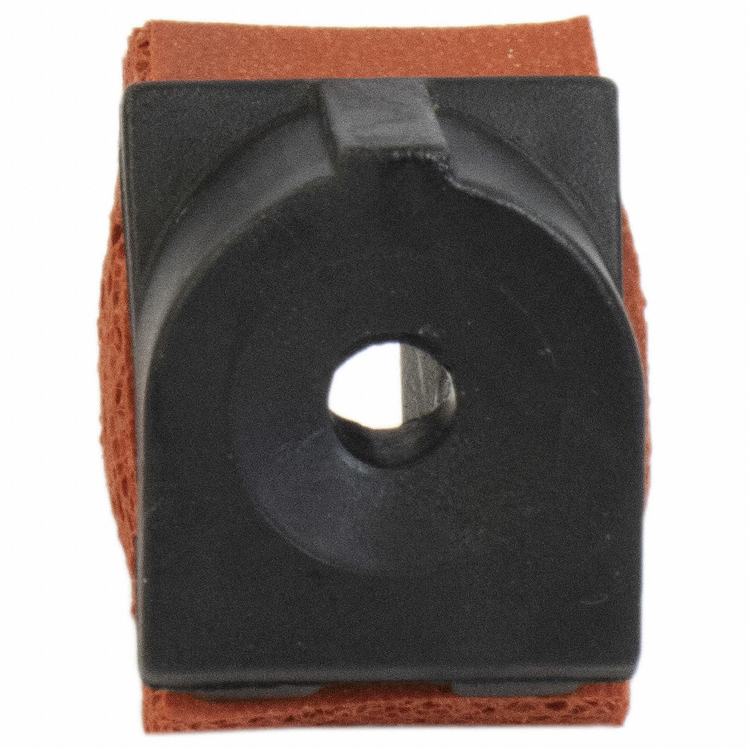 Door Interior Trim Panel Retainer Clip - M4 x 10MM, Front | Parts ...