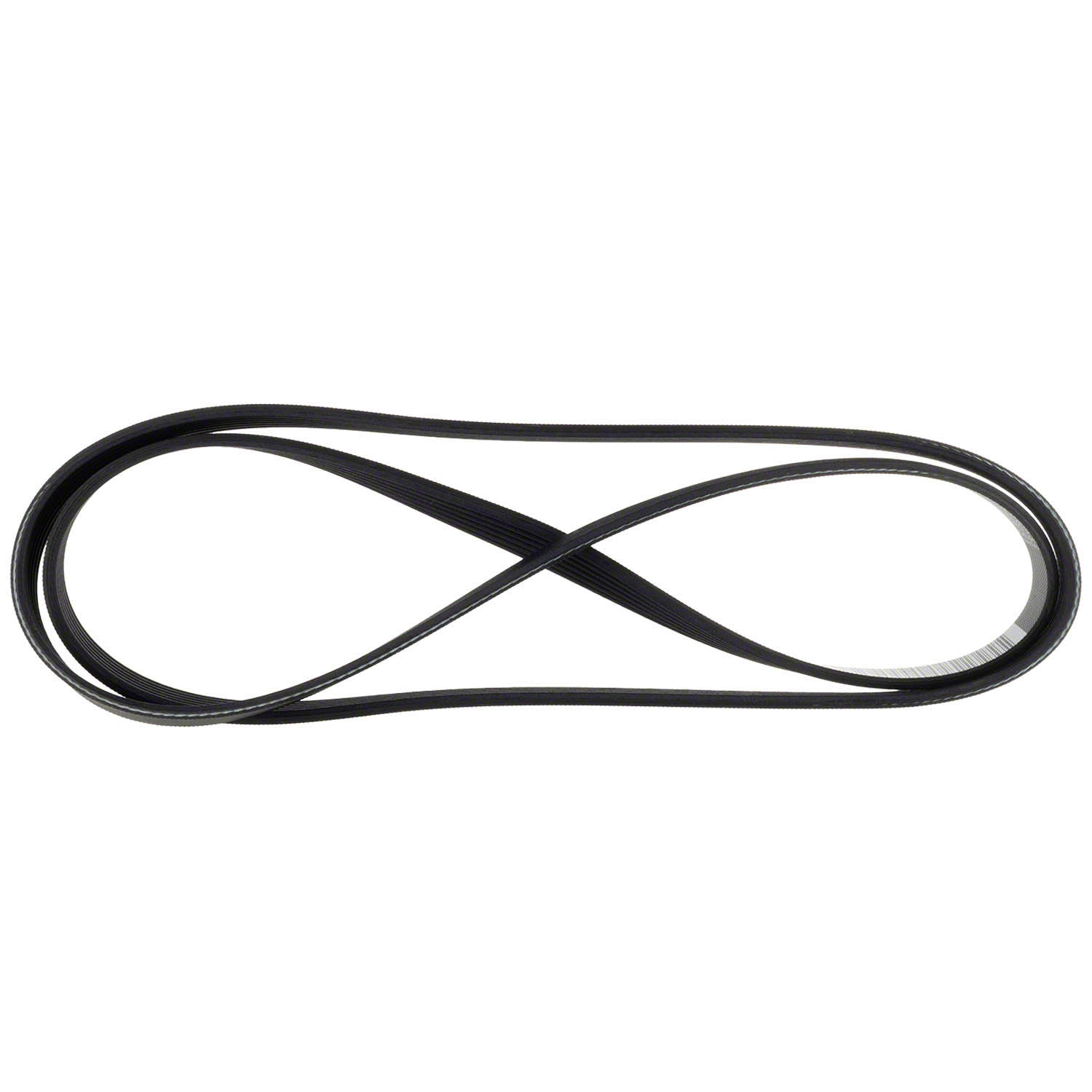 Serpentine Belt - 5.0L | Parts | Ford.com