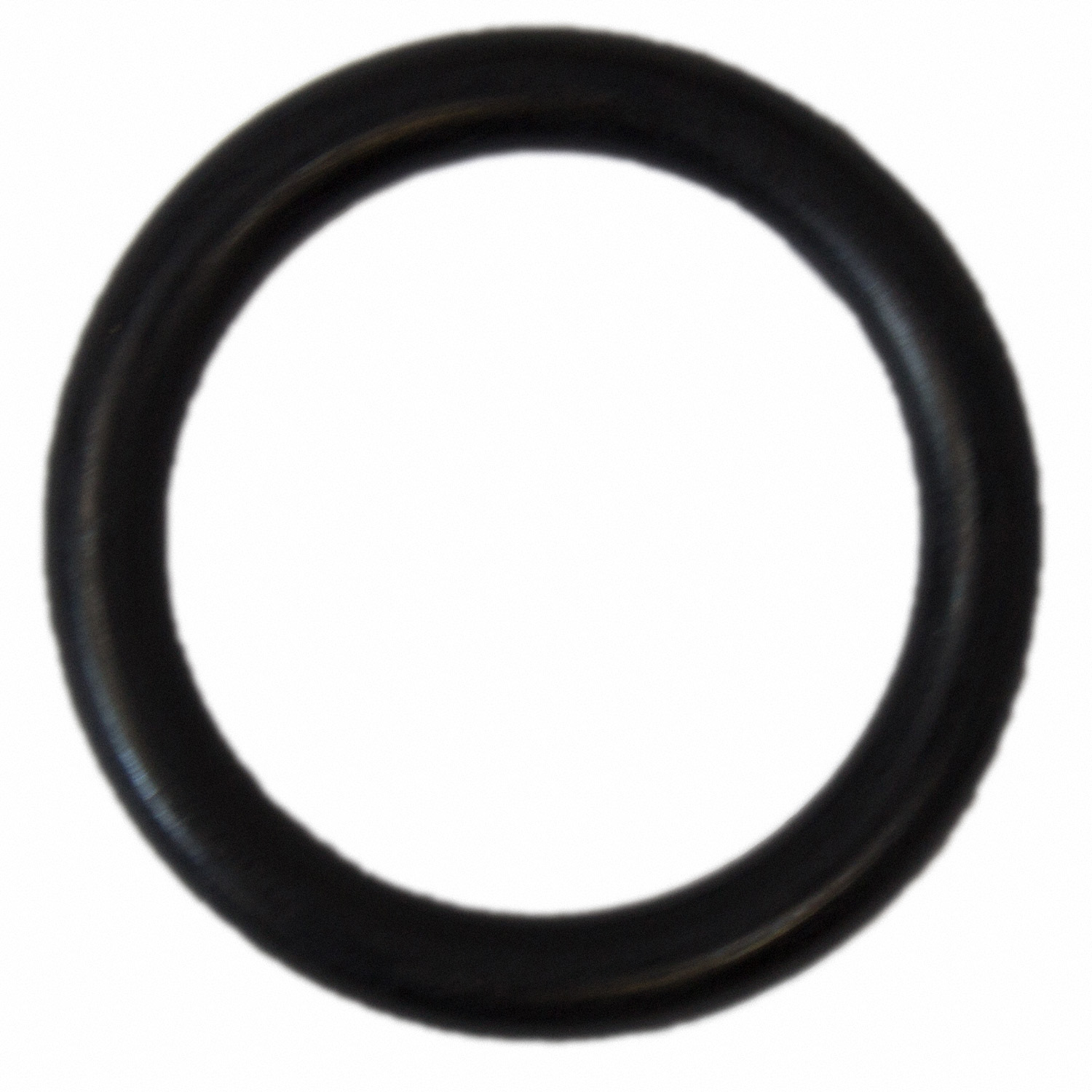 Suspension Solenoid O Ring - Front, Rear | Parts | Ford.com