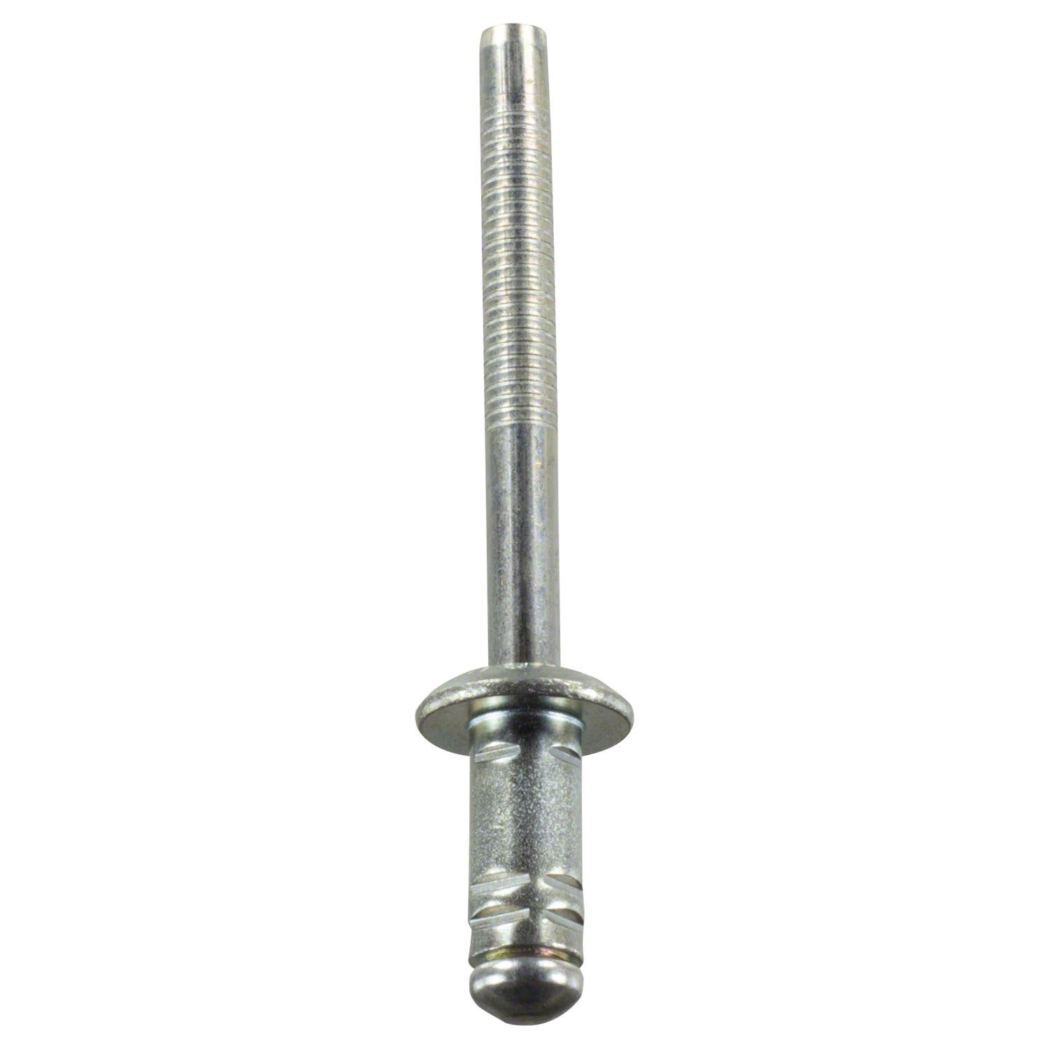 Rivet - Rear | Parts | Ford.com