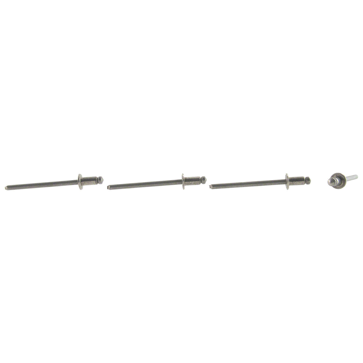 Rivet Blind - Front | Parts | Ford.com